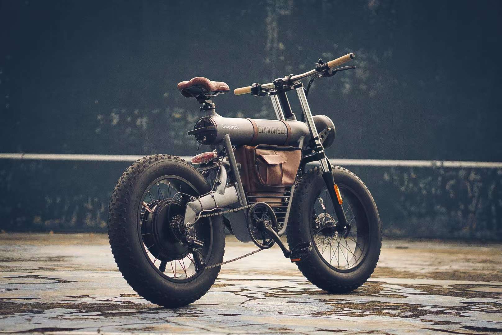 E-bike: The ultimate combination-T20. - Coswheel